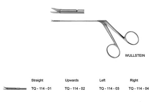 TITAN :: Products :: Ear Surgery Instruments